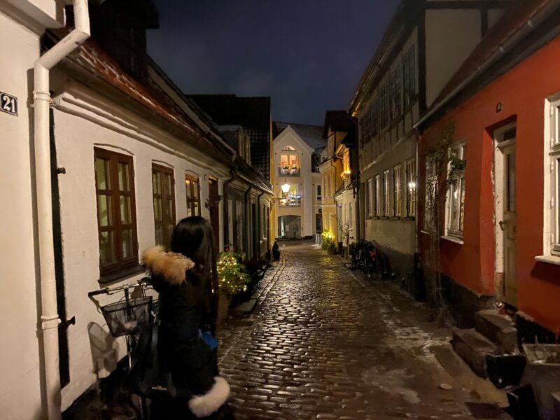 The Danes and The Donald | Courthouse News Service